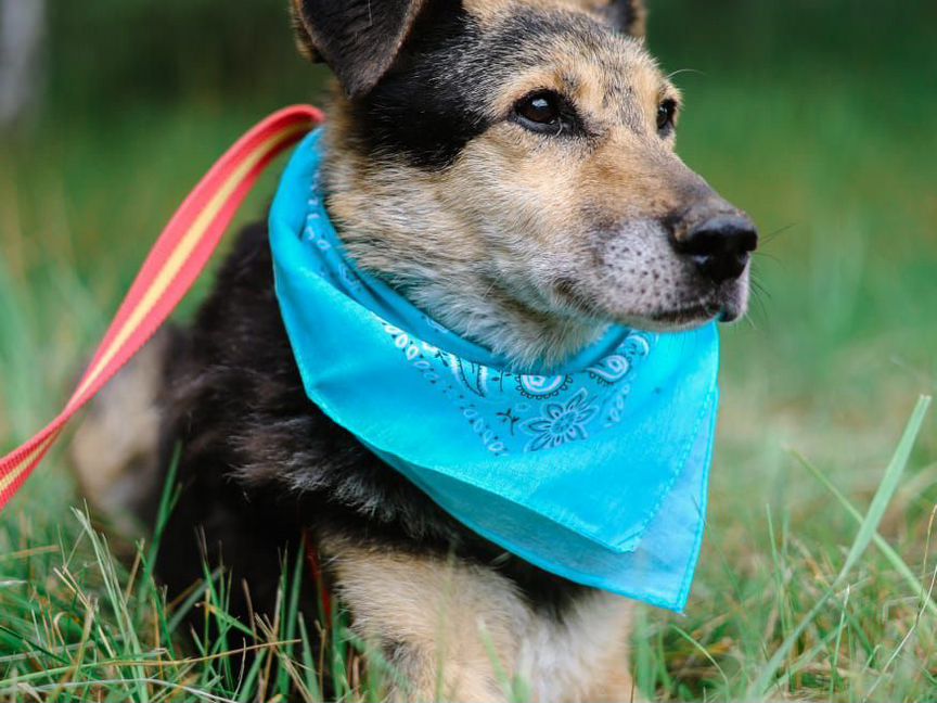 Теряет надежду на дом