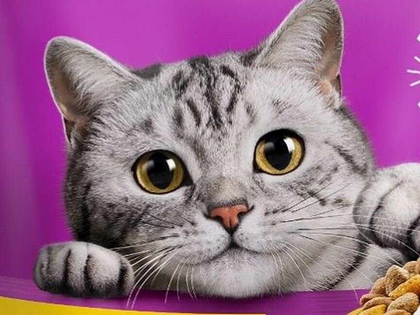 Корм Whiskas сухой корм для стерилизованных кошек