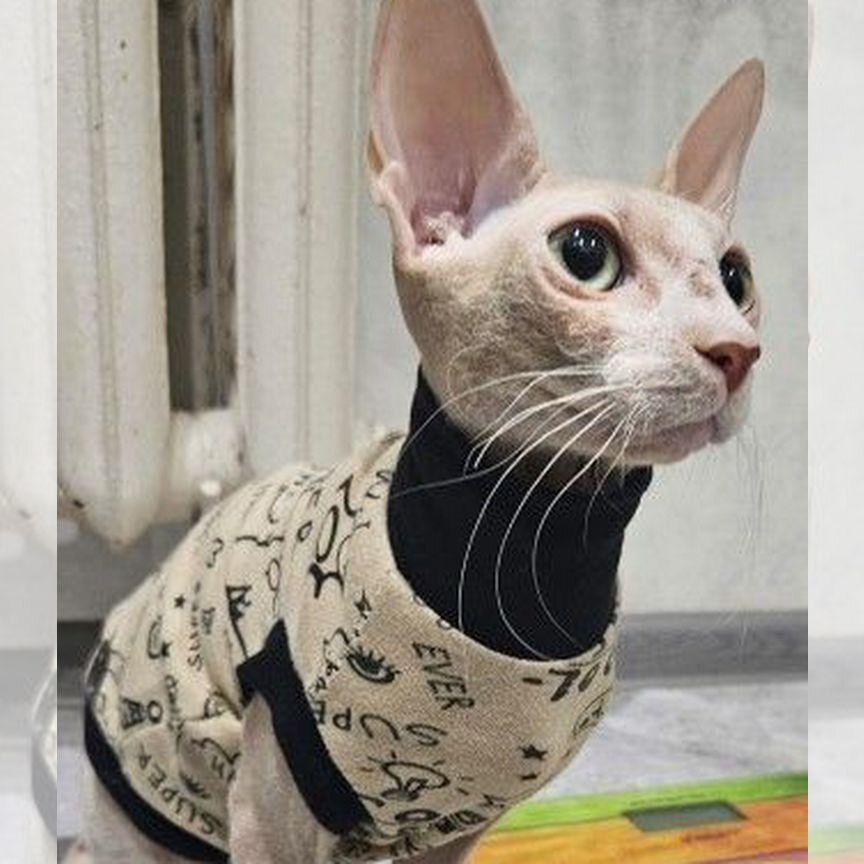 Вязка сфинкс