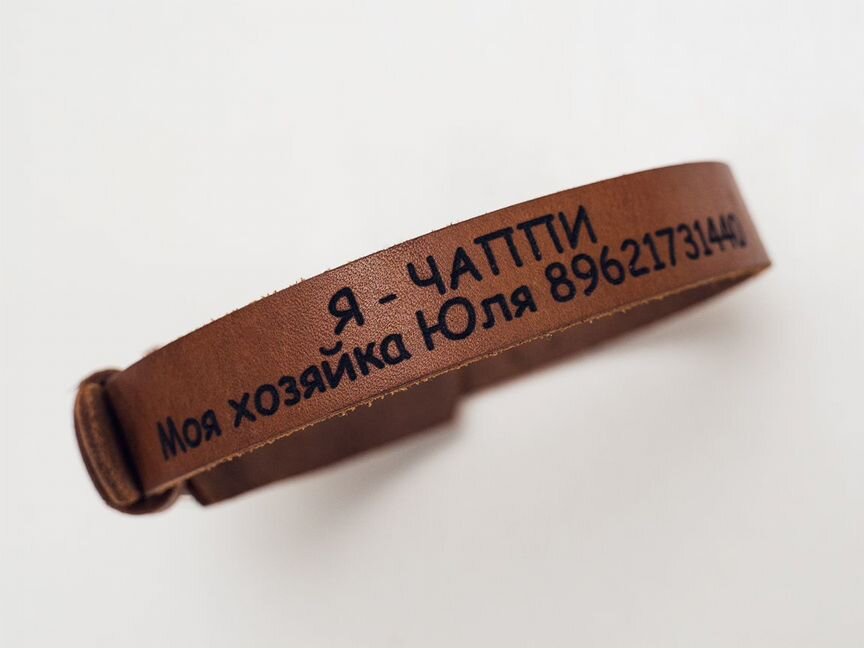 Ошейник для собак средних пород