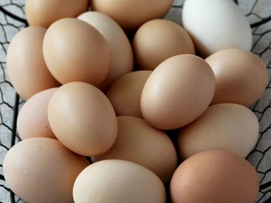 Яйцо домашнее