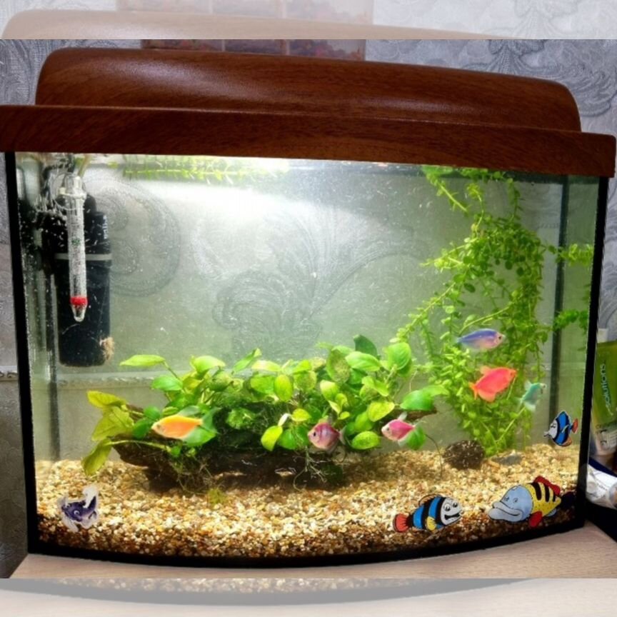 Аквариум телевизор 30л