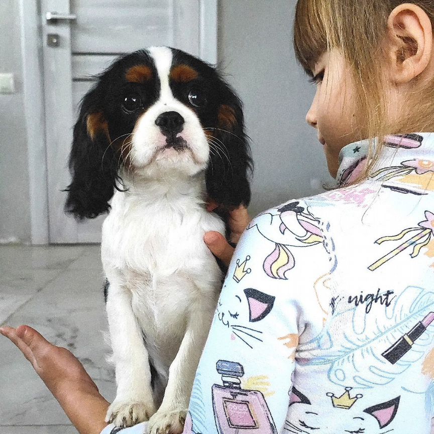 Триколорная девочка