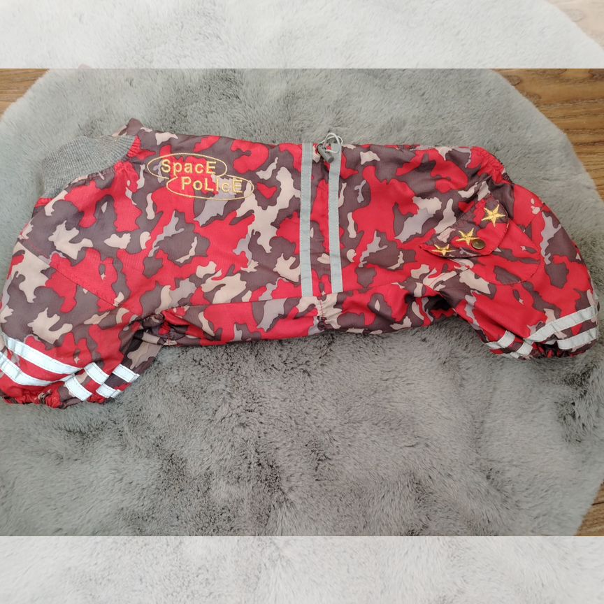 Одежда для собак