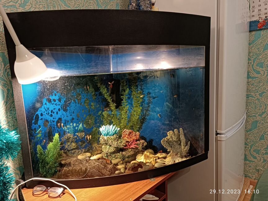 Аквариум угловой большой
