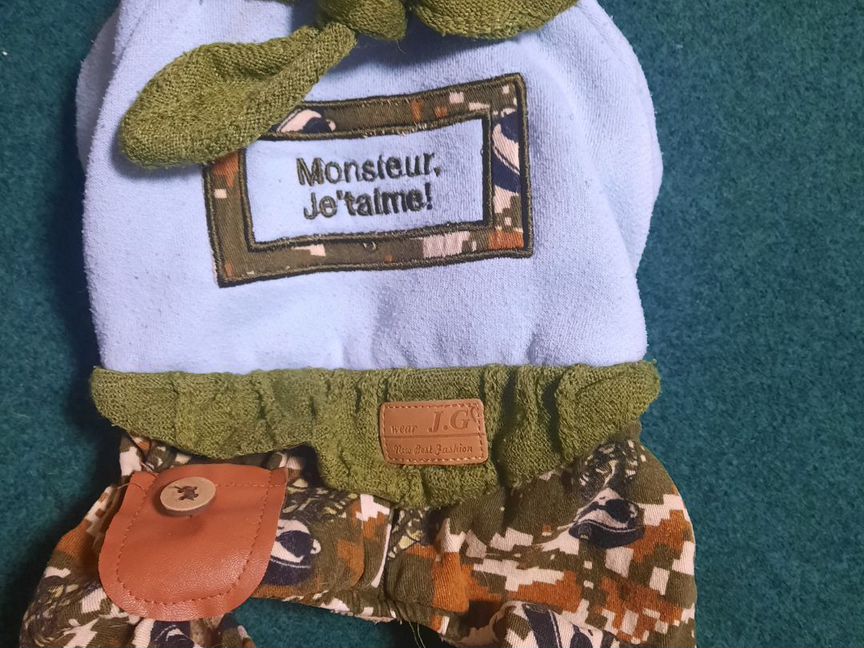 Одежда для собак мелких пород