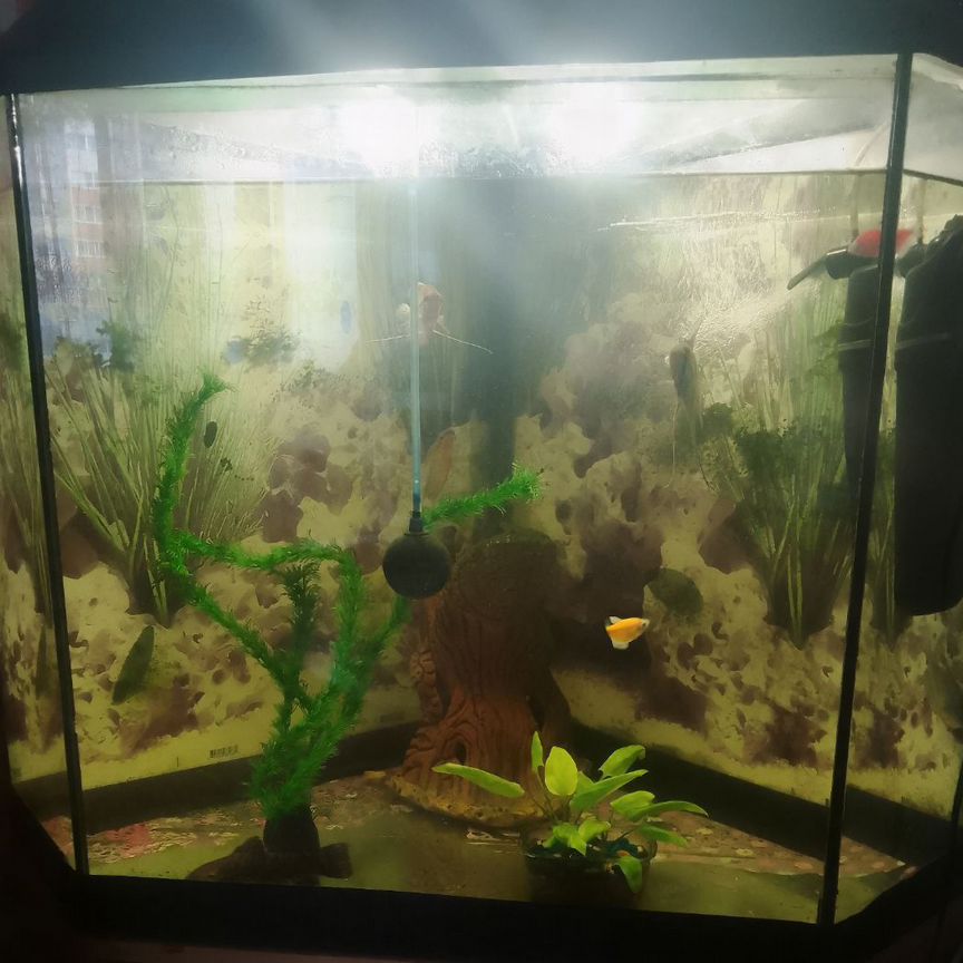 Аквариум 130 литров