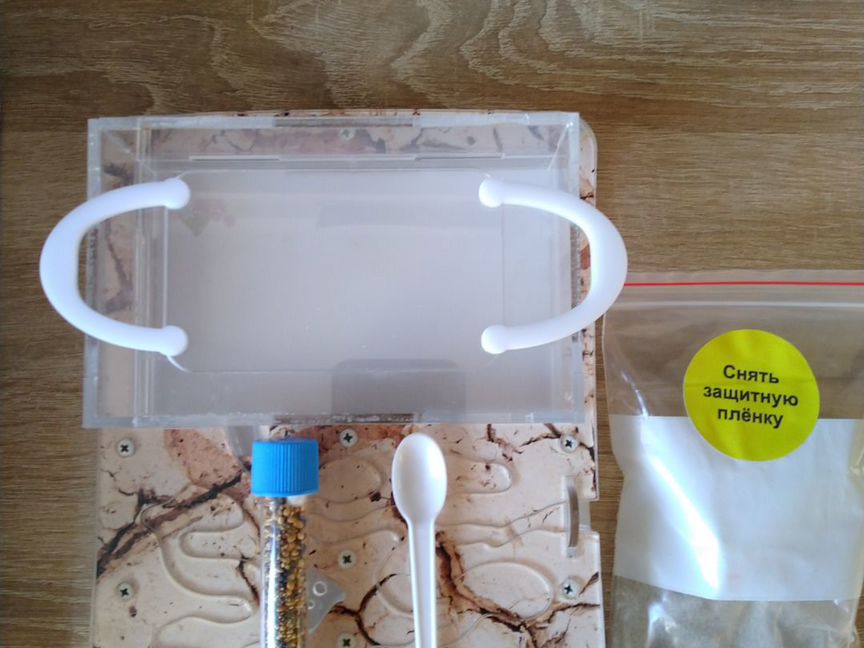 Муравьиная ферма без муравьев