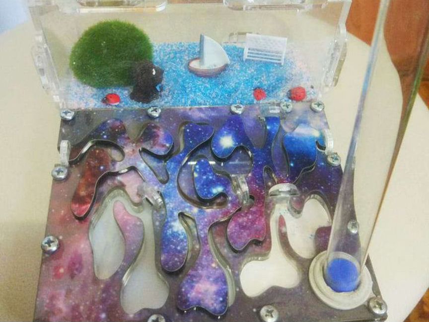 Ферма для муравьёв