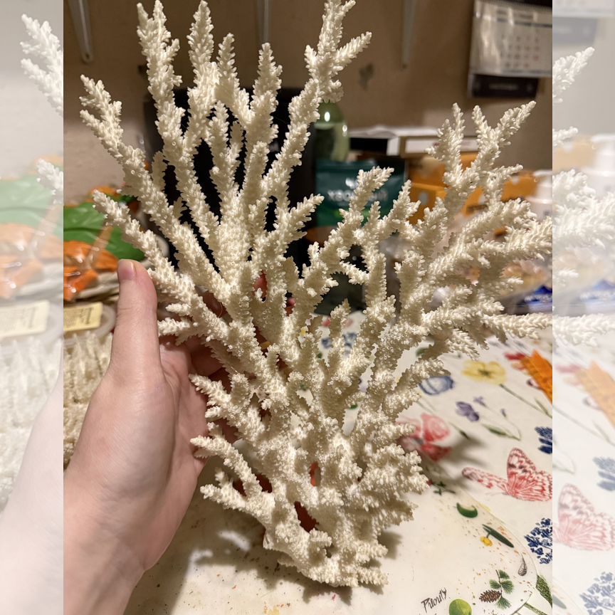 Коралл 30 см