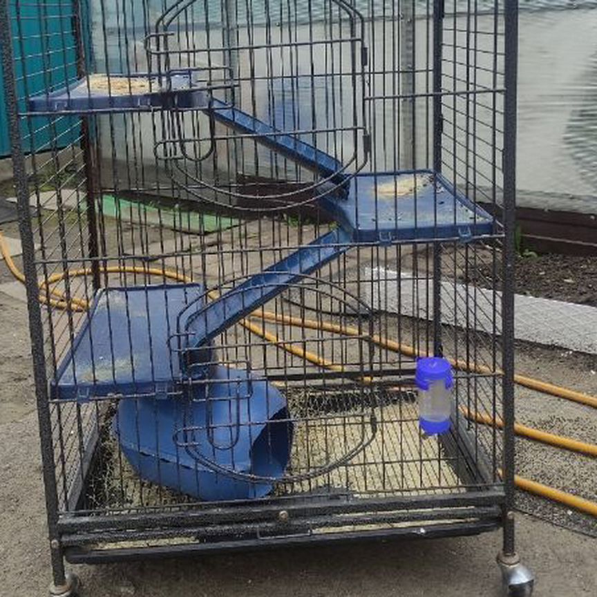 Клетка для грызунов большая на колесах