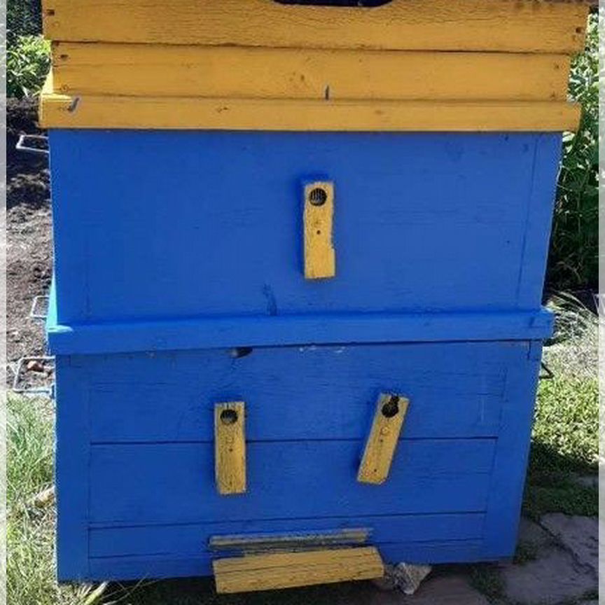 Ульи для пчел