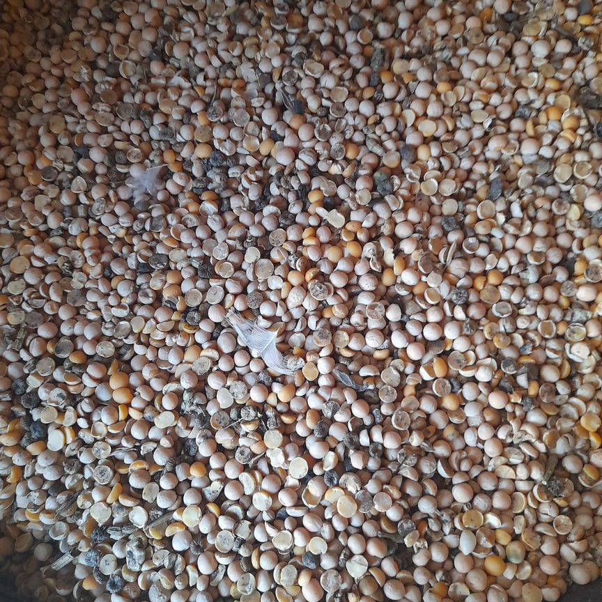 Отходы гороха