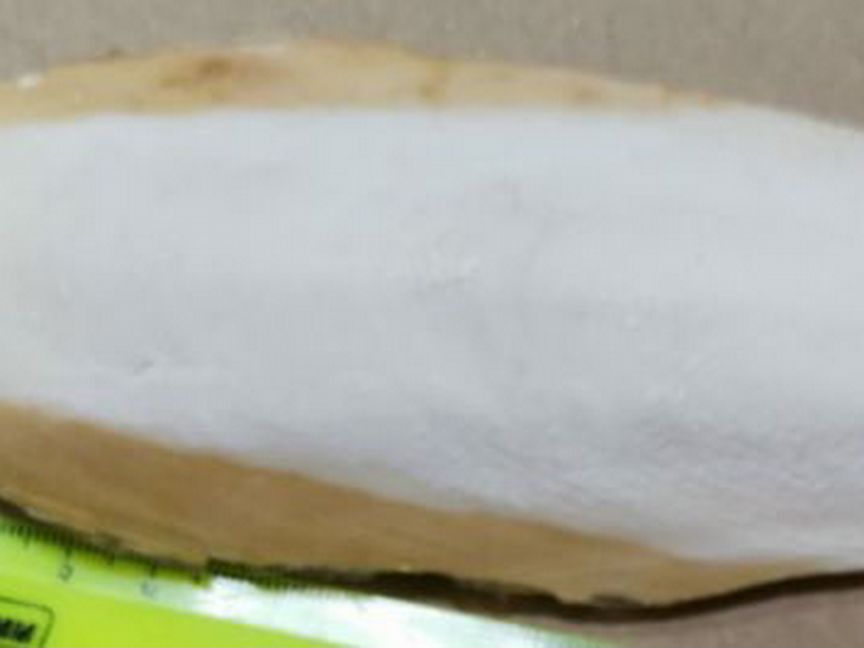 Продам Sepia (панцирь каракатицы)