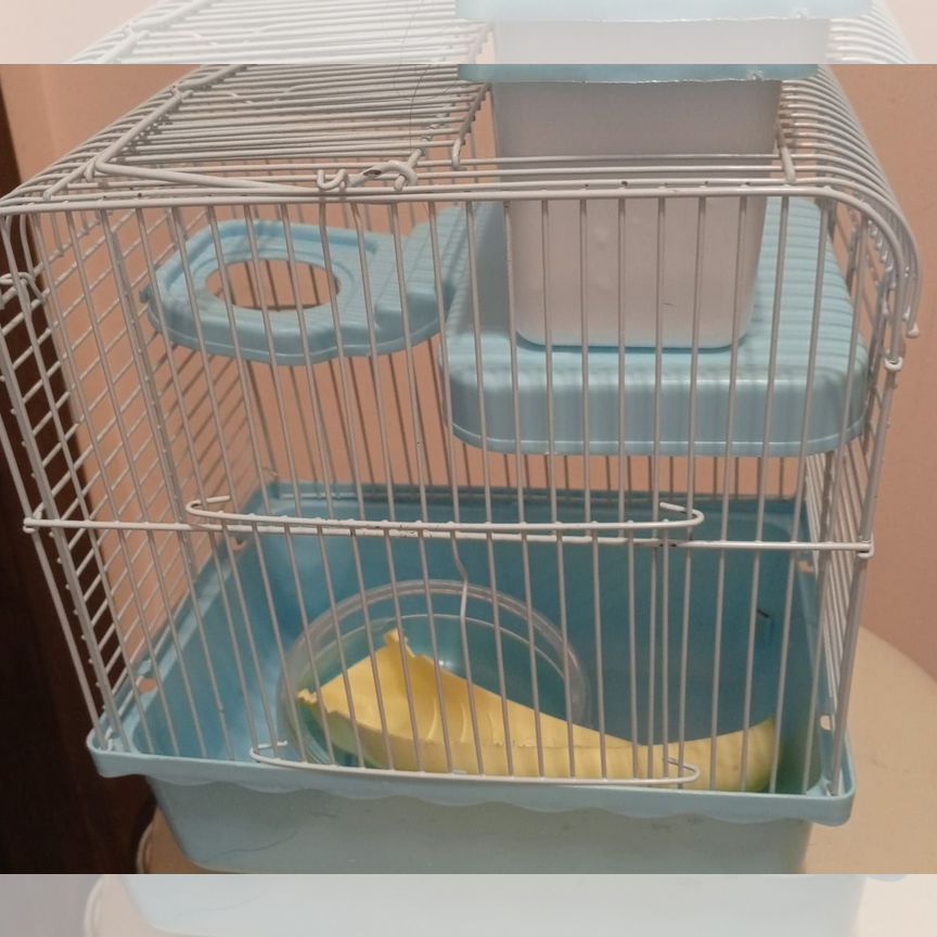 Клетка для грызунов бу