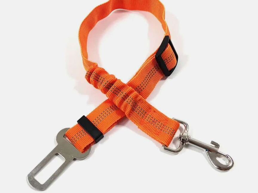 Ремень безопасности для собаки в машину