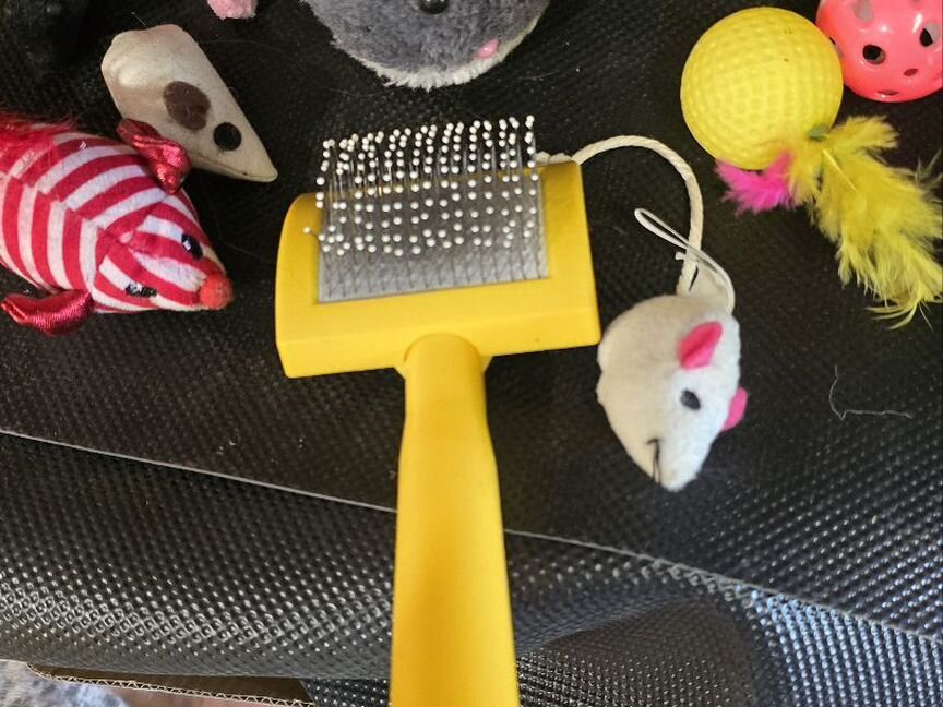 Игрушки для котят