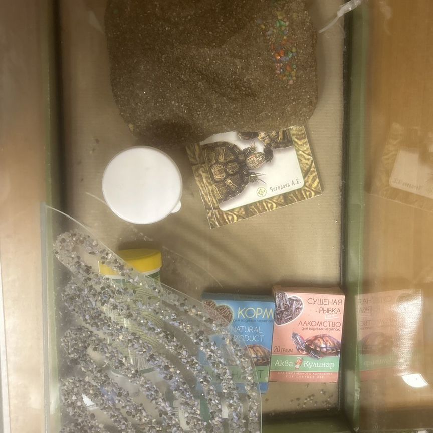 Аквариум для красноухой черепахи