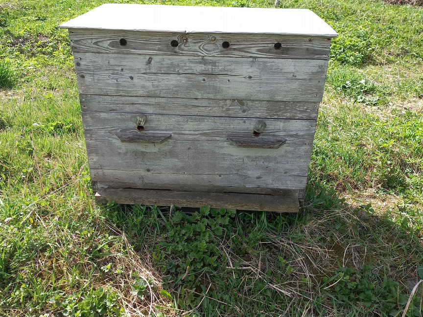 Ульи системы "Дадан" на 22 и 24 рамки