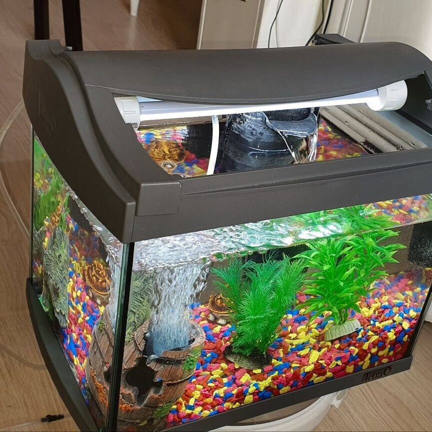 Аквариум 22 литра со всеми дополнениями