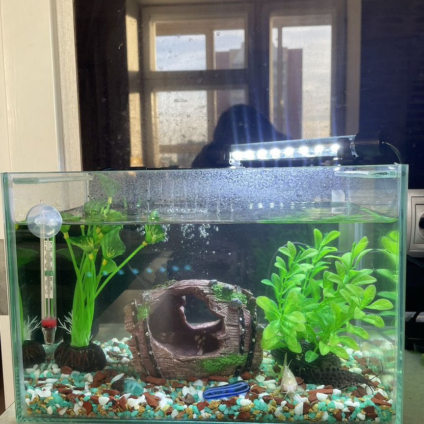 Аквариум с рыбками