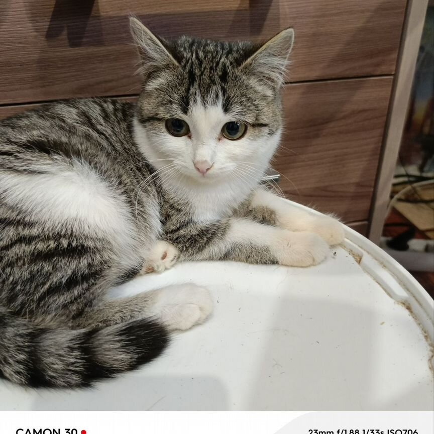 Луиза ищет дом