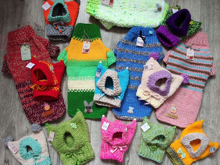 Одежда для животных