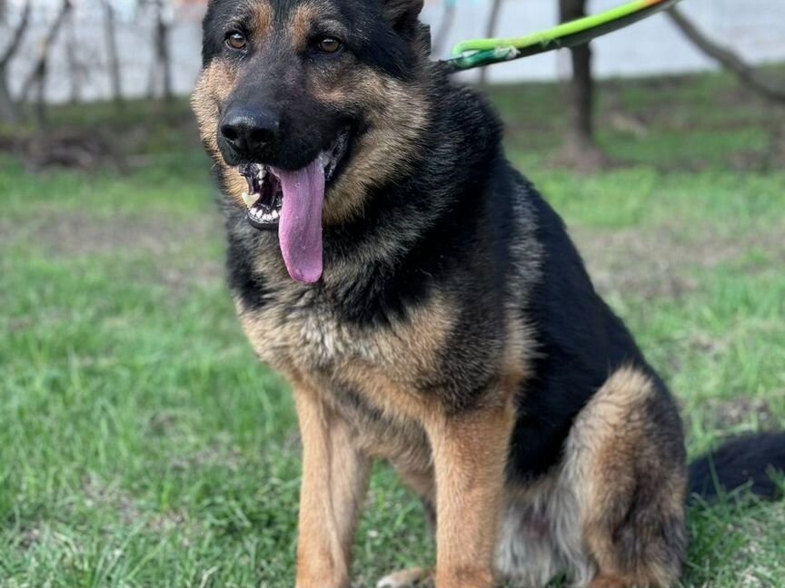 Забери меня из приюта