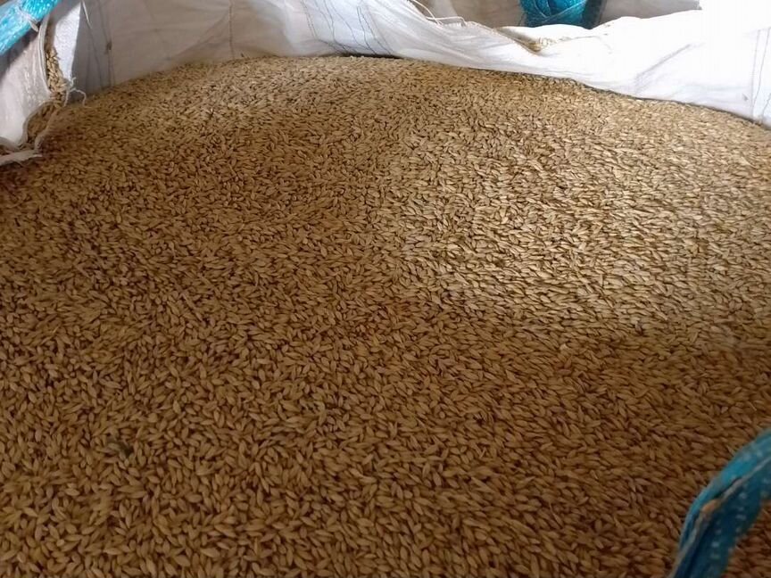 Корма для животных