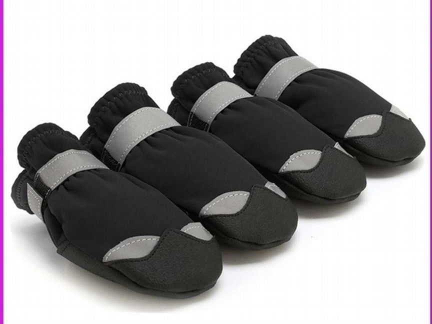 Светоотражающая обувь для животных