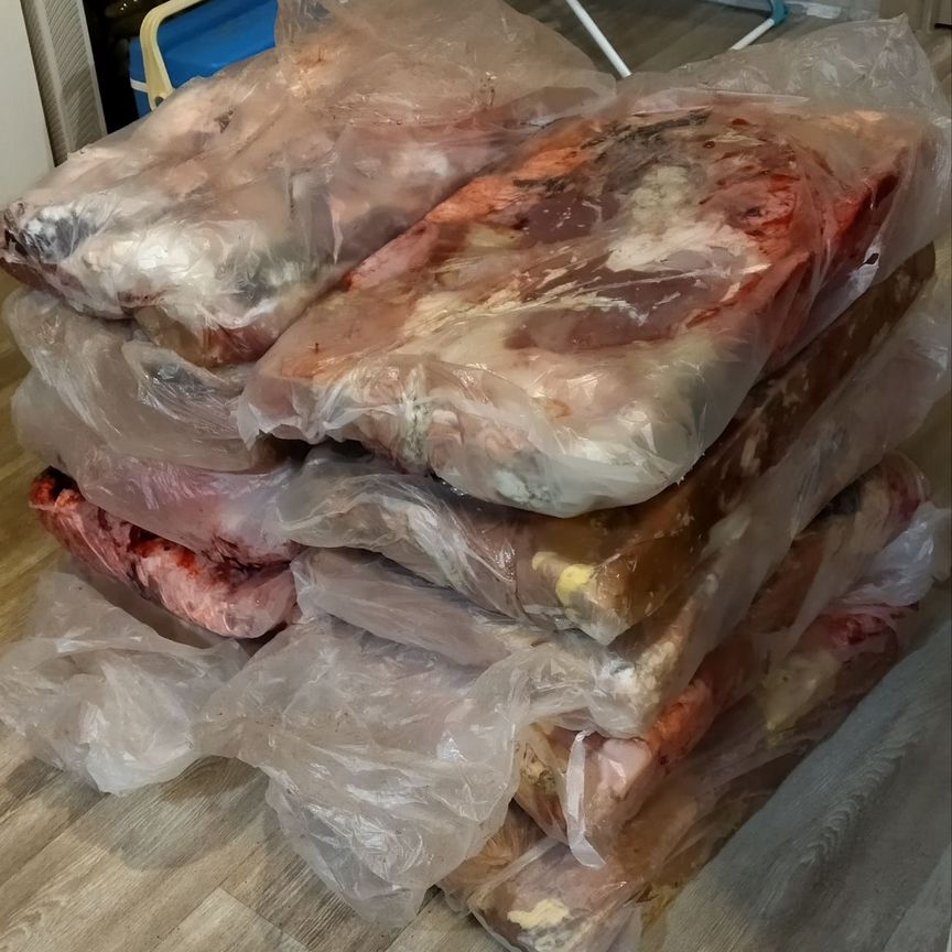 Ассорти для собак из субпродуктов