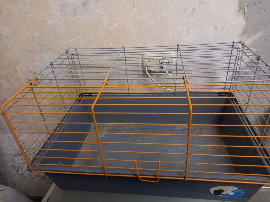 Клетка для кроликов и свинок бу