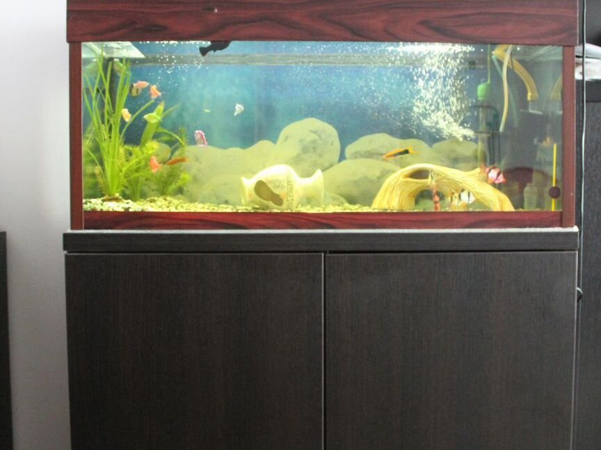 Аквариум 100 литров с новой тумбой