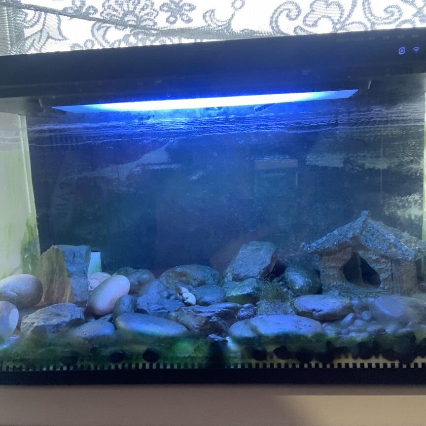 Умный аквариум xiaomi 20