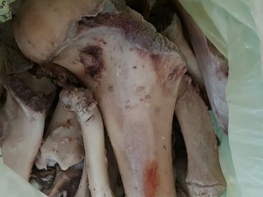 Кости для собак с холодца готовые