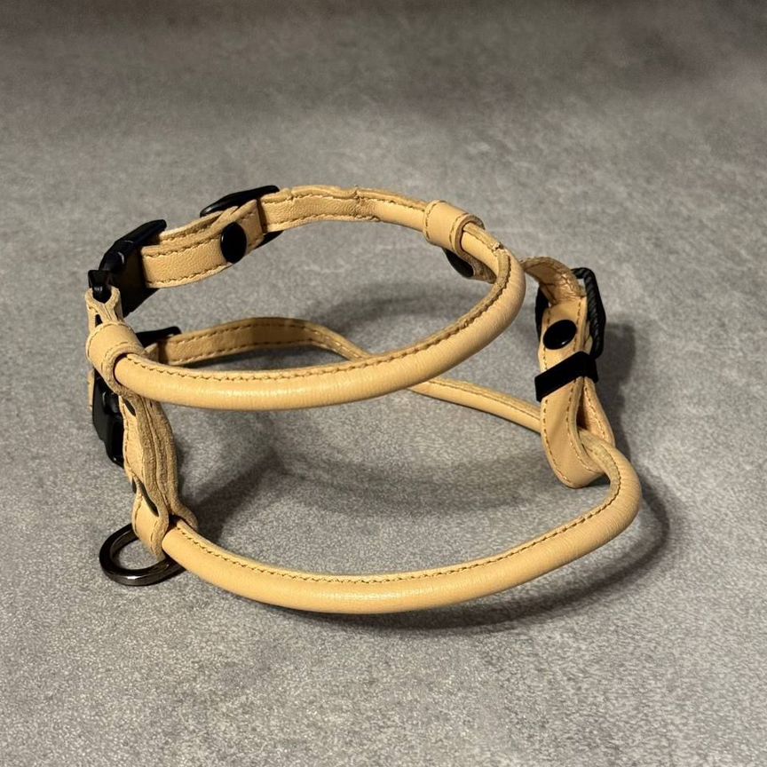 Шлейка для собак