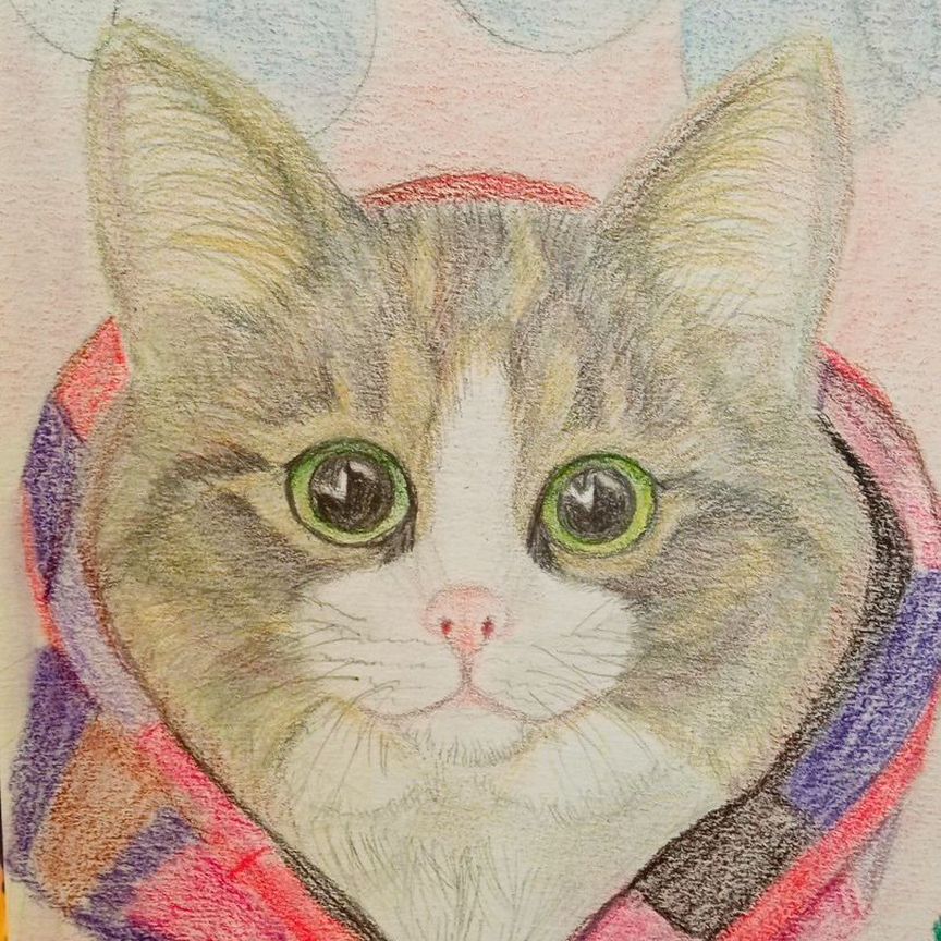 Рисую ваших питомцев