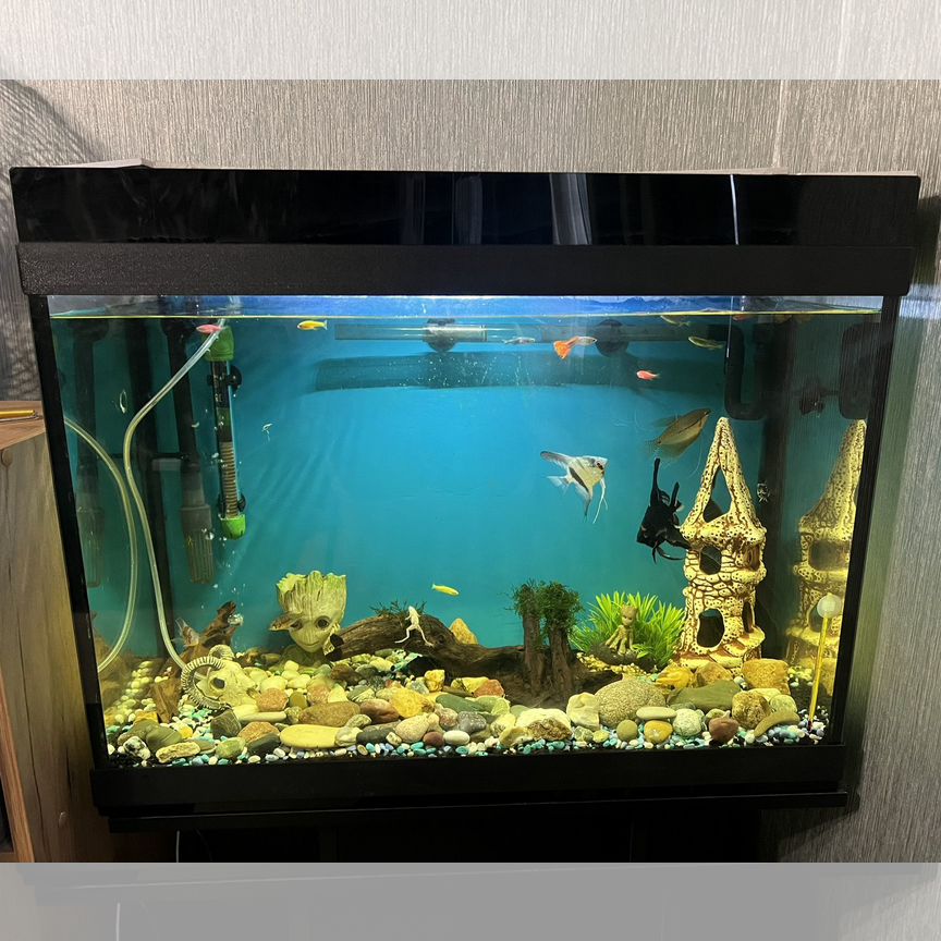 Аквариум 100 литров со всем необходимым