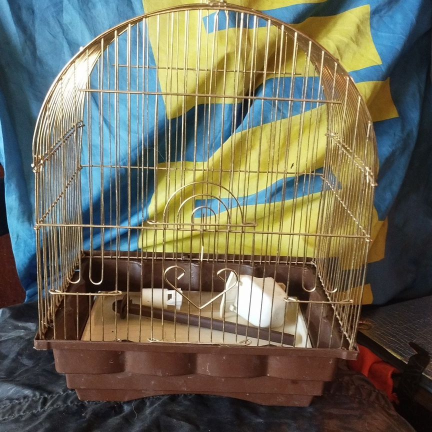 Клетка для птички небольшая
