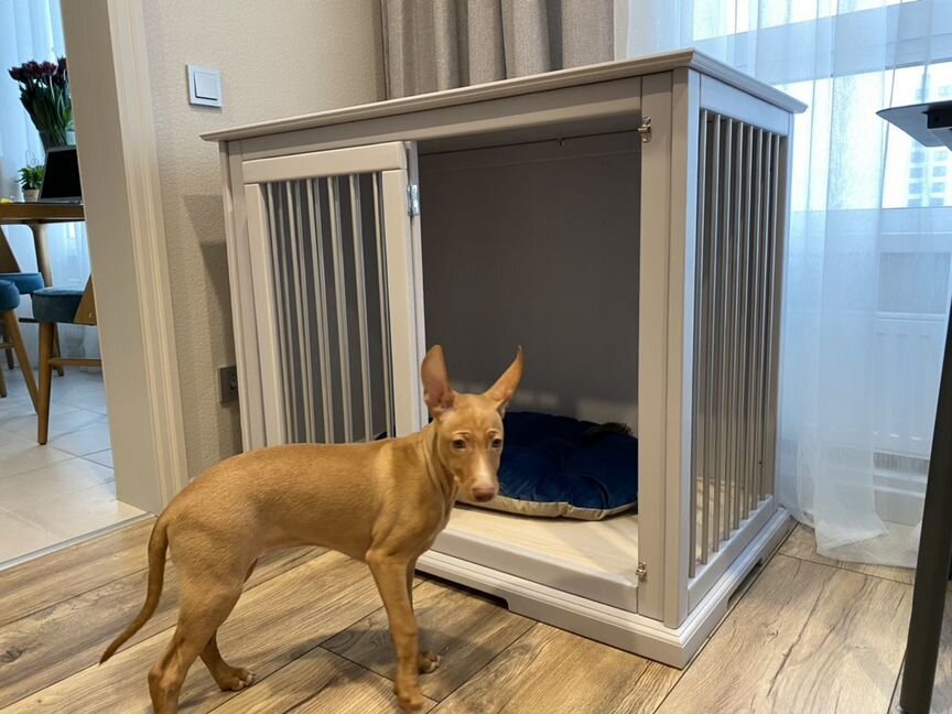 Вольер клетка для собак домашний «Пегас-мини»