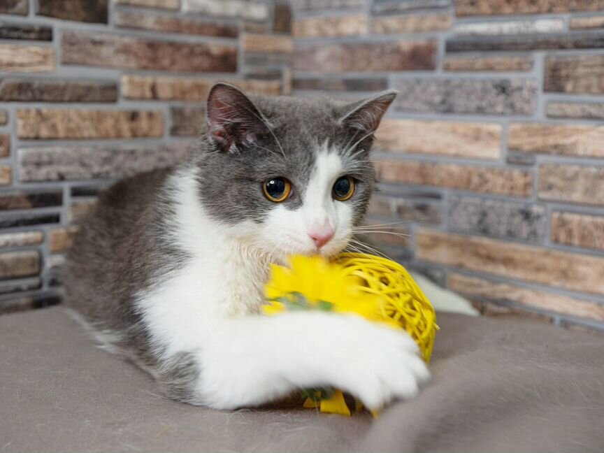 Родику нужна Мама и забота