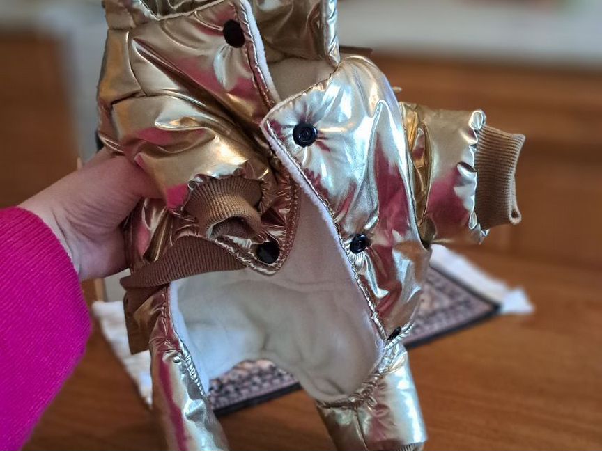 Одежда для собак мелких пород