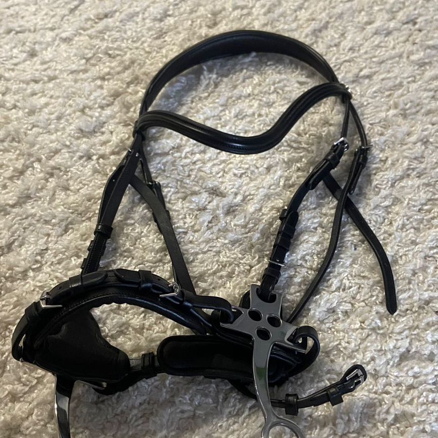 Хакамора для лошади