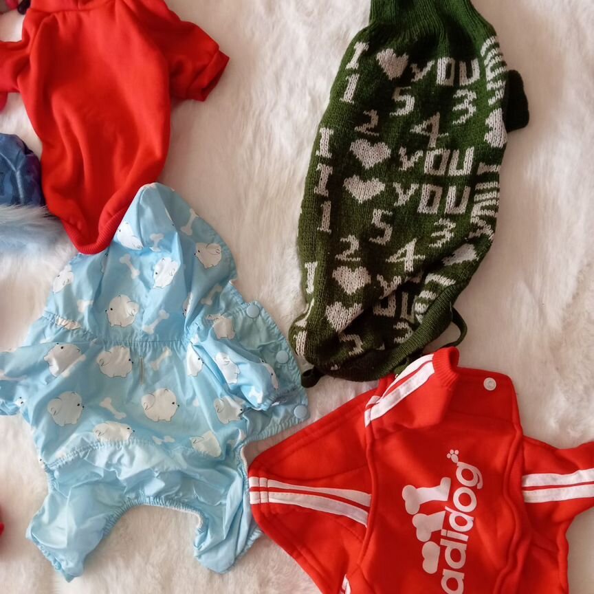 Одежда для собак мелких пород