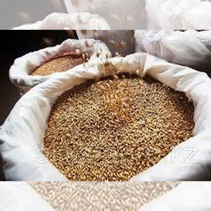 Пшеница в мешках