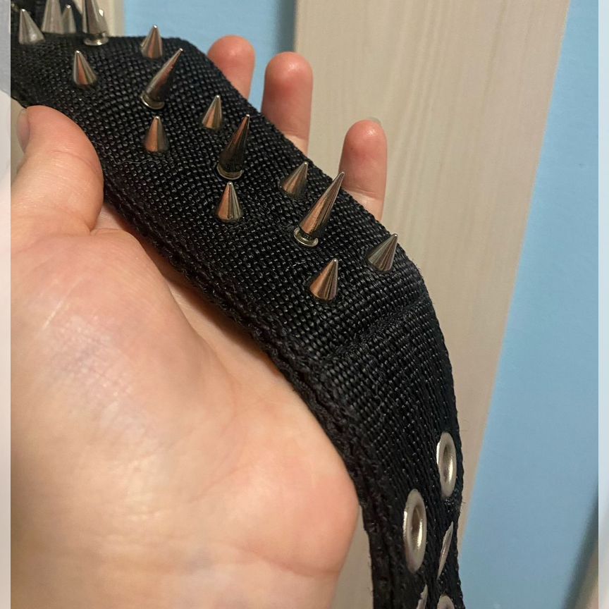 Ошейник с шипами для собак