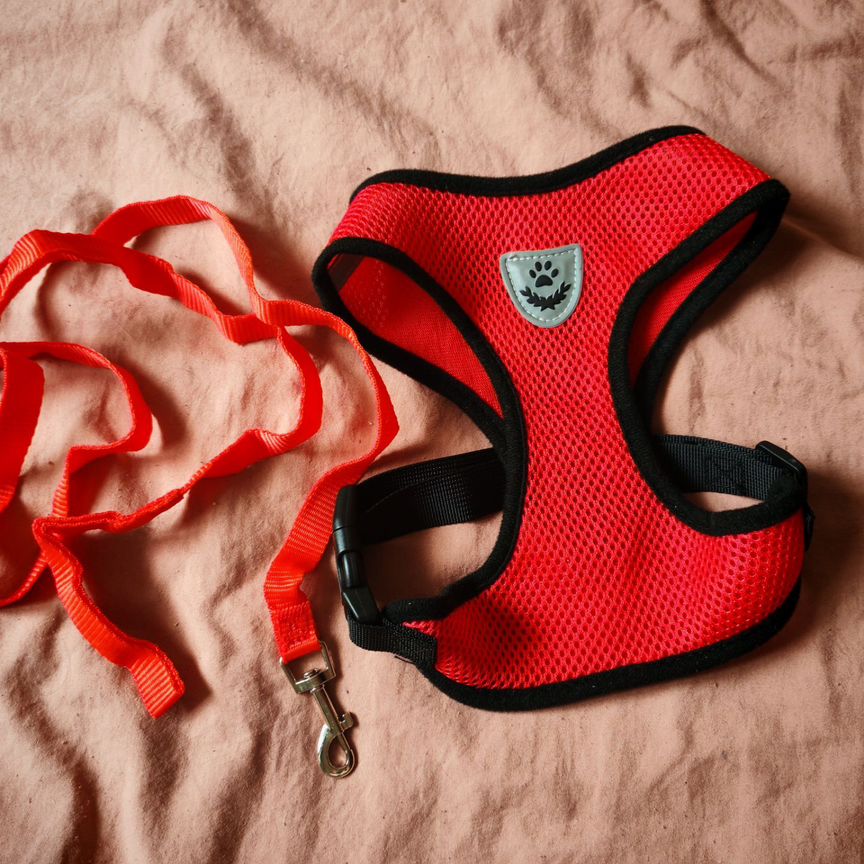 Шлейка для маленькой собаки или кошки