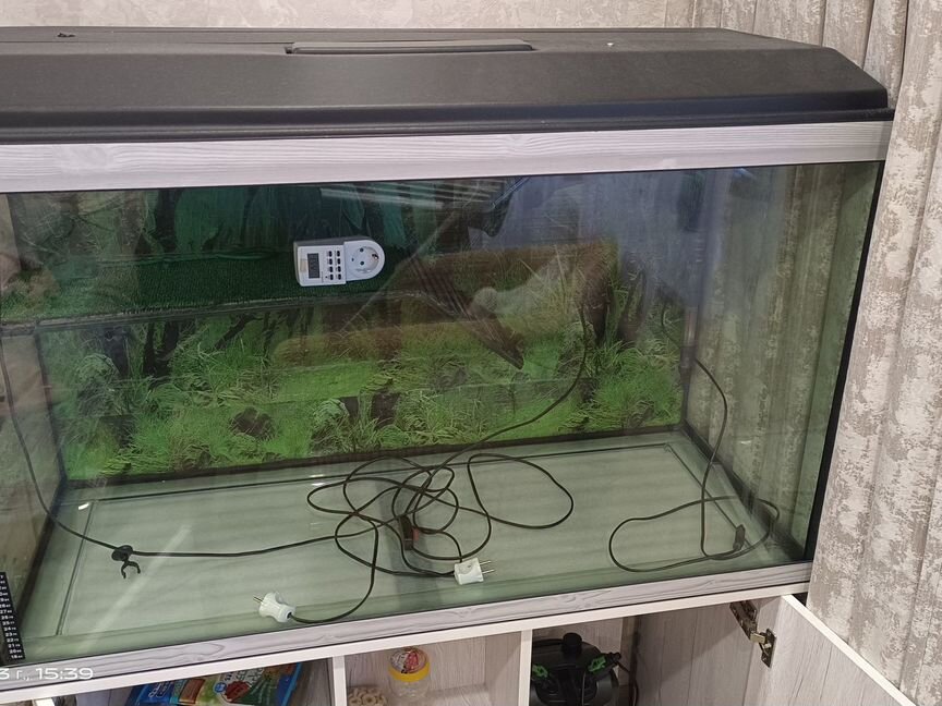 Аквариум для красноухих черепах