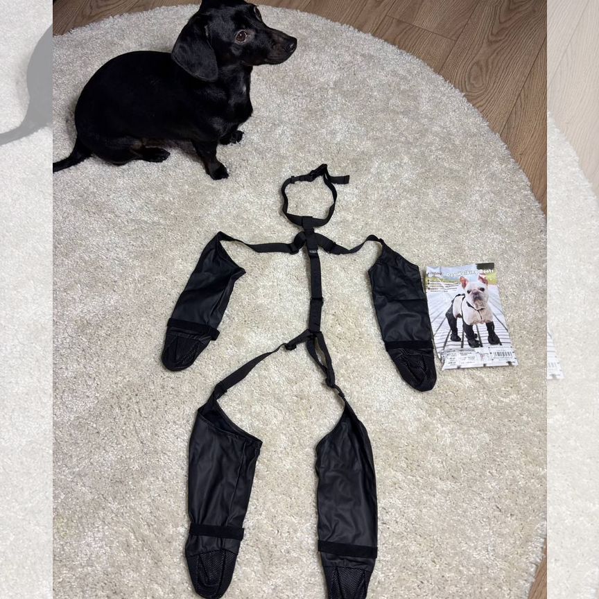 Обувь для собаки