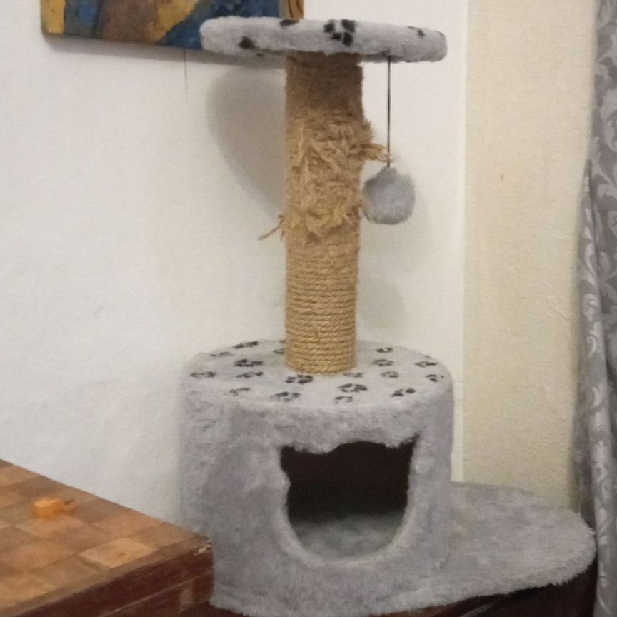 Домик для кошки